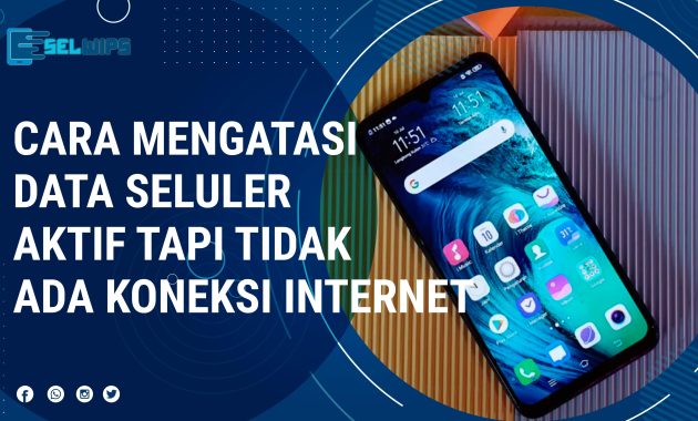 Cara Mengatasi Data Seluler Aktif tapi Tidak Ada Koneksi Internet - Selwips